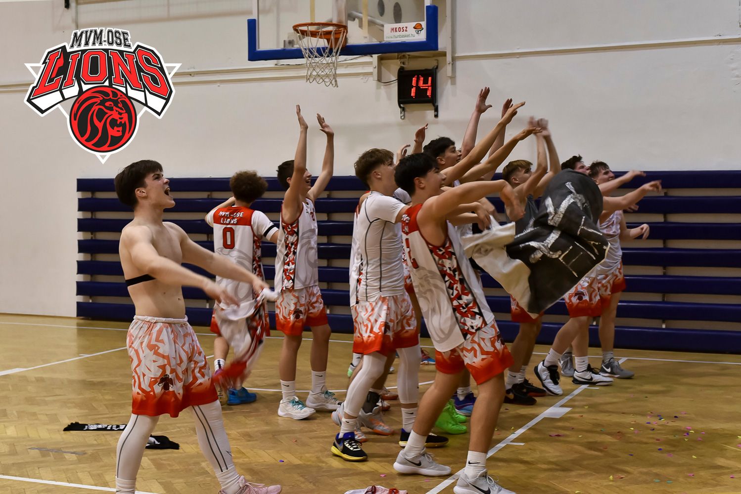 Oroszlányi Sport Egylet