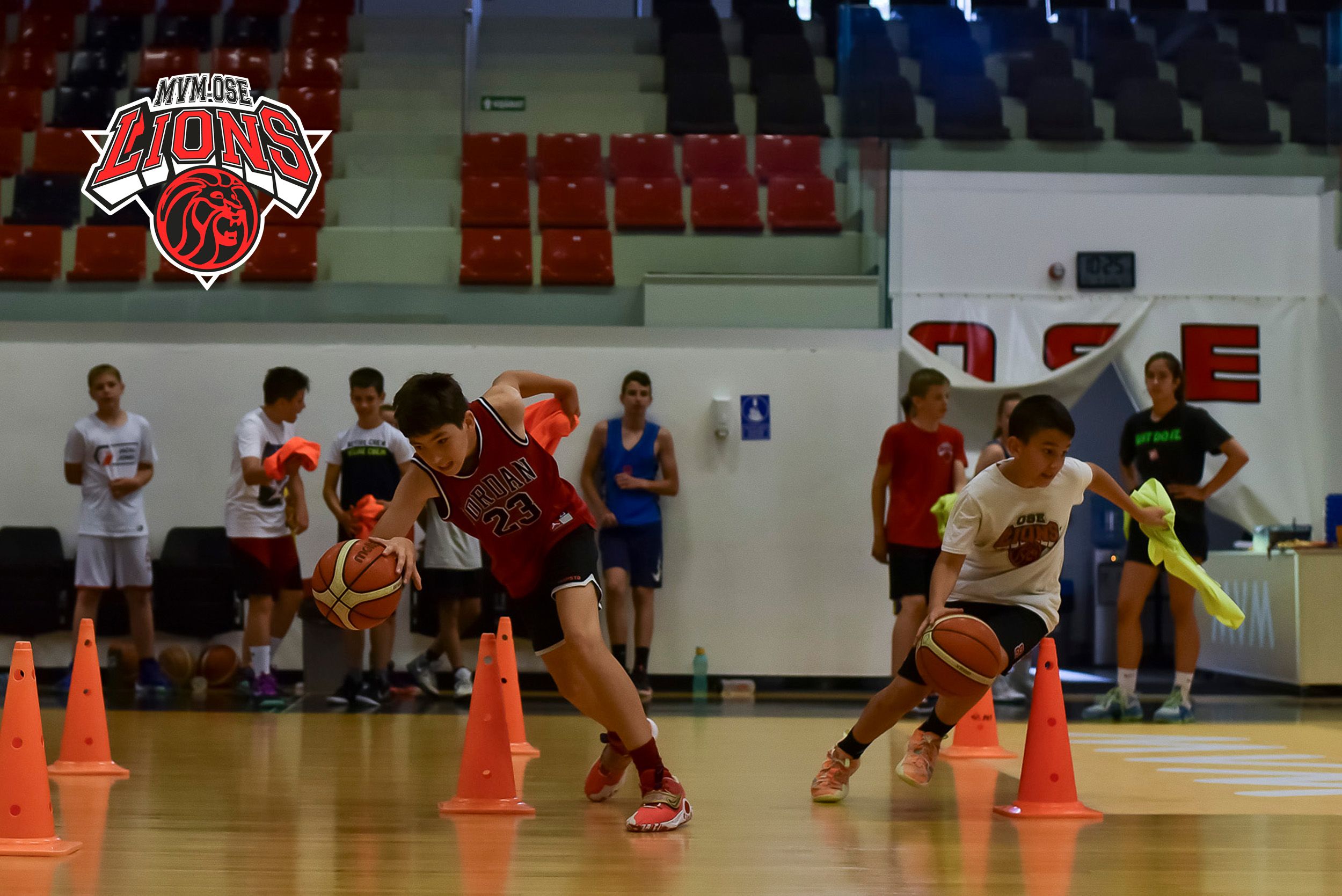 Oroszlányi Sport Egylet