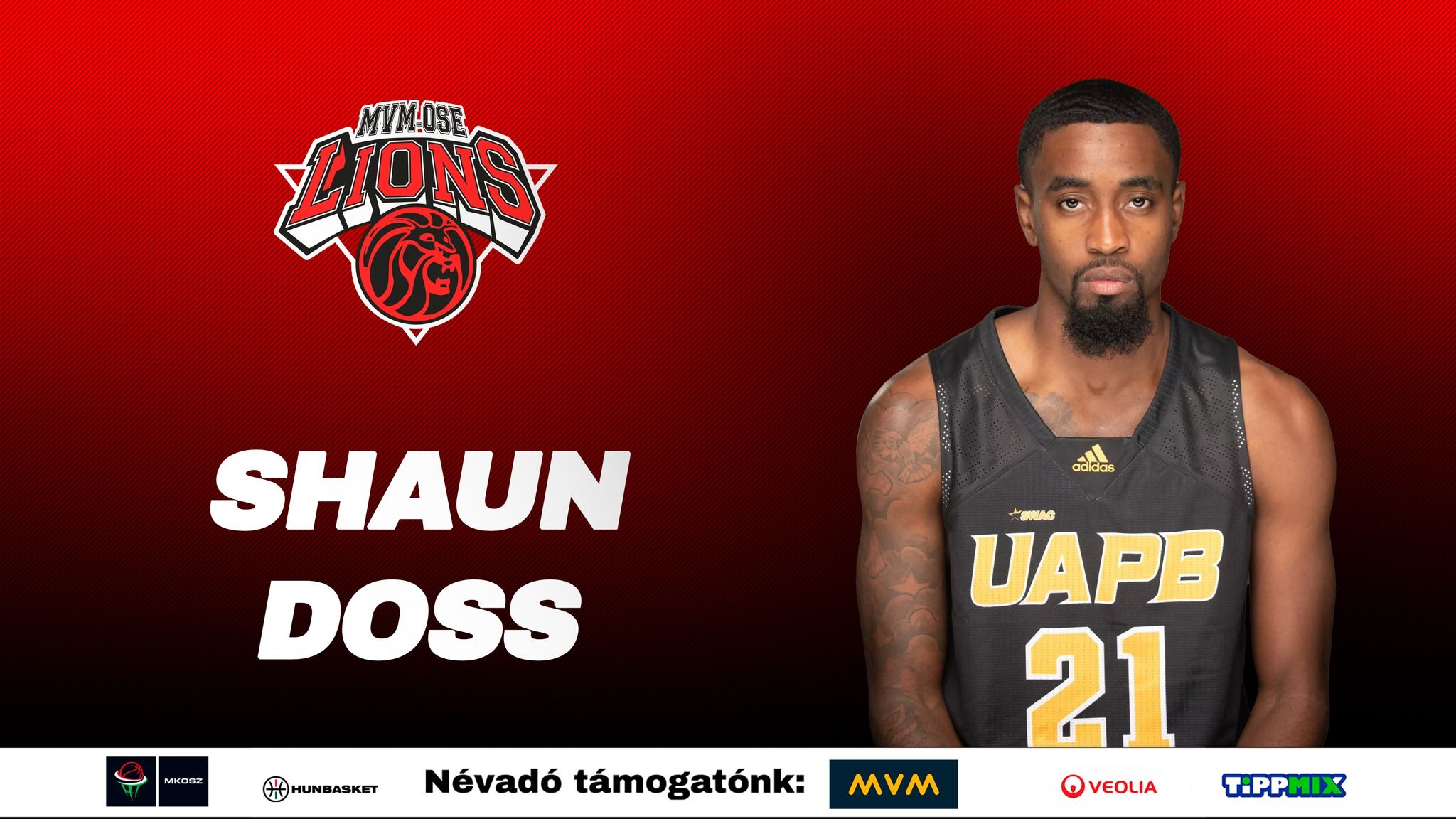 Oroszlányi Sport Egylet