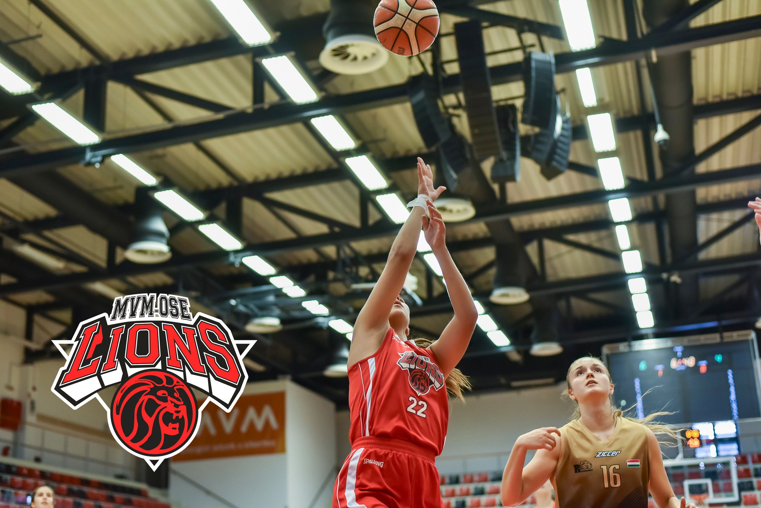 Oroszlányi Sport Egylet